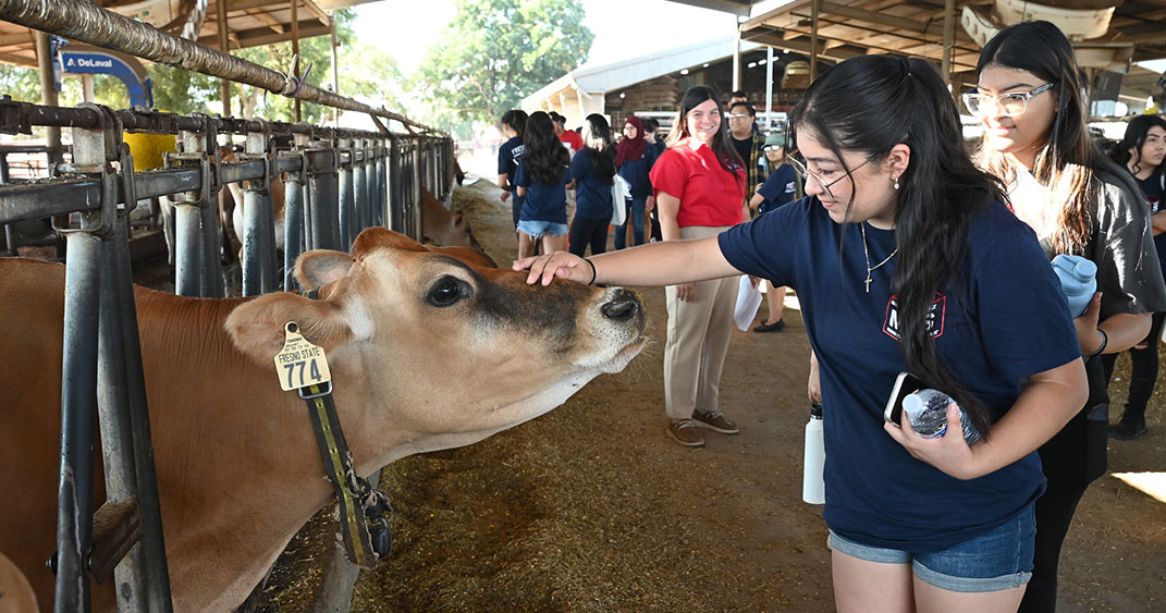 Ag Ambassadors story - The Jordan College of Agricultural Sciences and ...