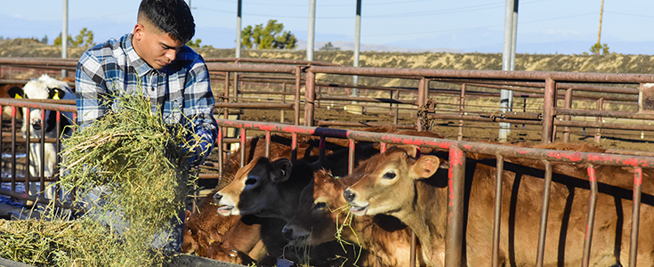 Dairy Unit - Animal Sciences and Agricultural Education