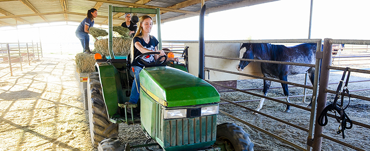 Welcome to the Equine Unit at California State University, Fresno ...