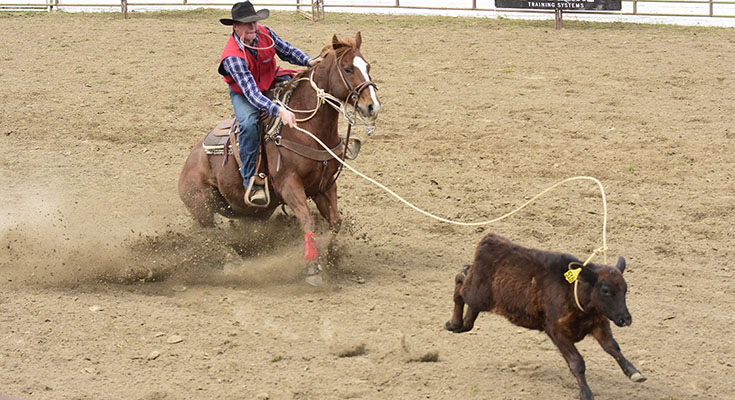 Fresno State among four top-25 ranked teams slated for home rodeo - The ...