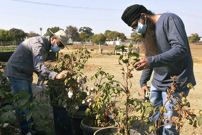 Research Reports Archive - The Jordan College of Agricultural Sciences ...