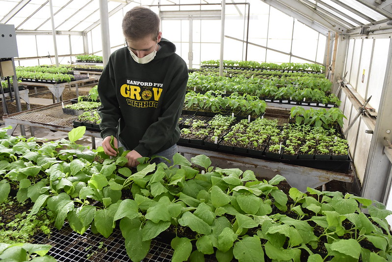 Head - The Jordan College of Agricultural Sciences and Technology
