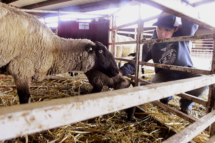 2021 Stories to Remember #1-10 - The Jordan College of Agricultural ...