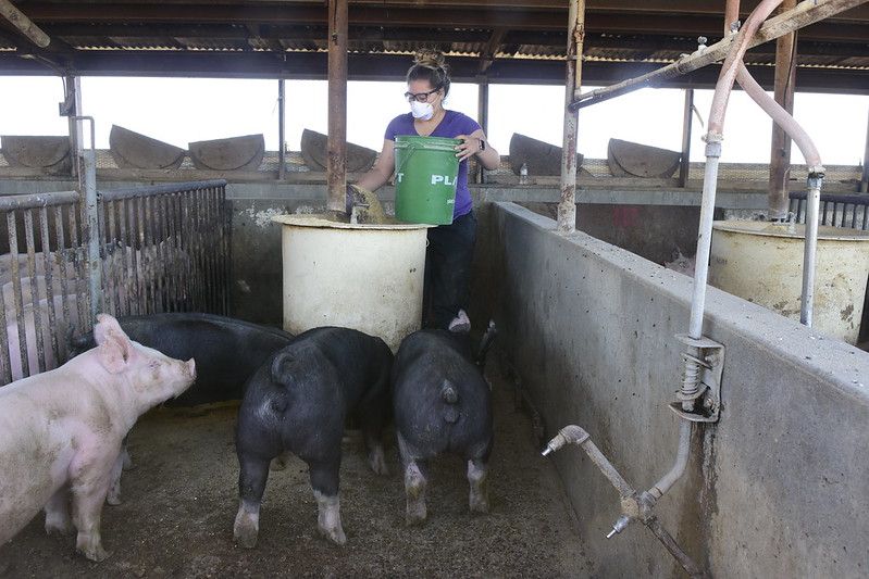 Animal Science Student Spotlight: Lisette Semental - The Jordan College ...